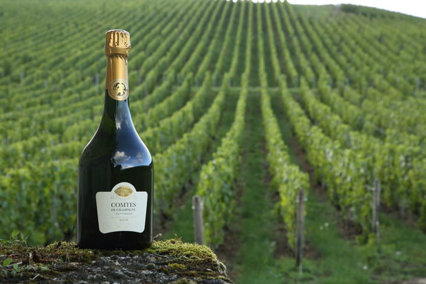 Unprecedented weather has had "major impact" on Champagne economy ...