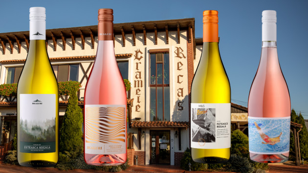 Long Read: Orange wine leads the pack at the newly organic Cramele ...