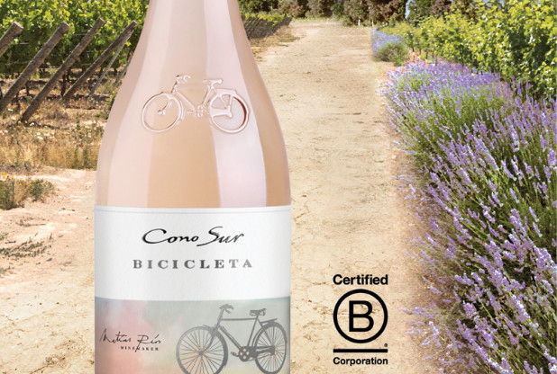 Cono Sur launches new Sauvignon Blanc Blush as pale rosé trend ...