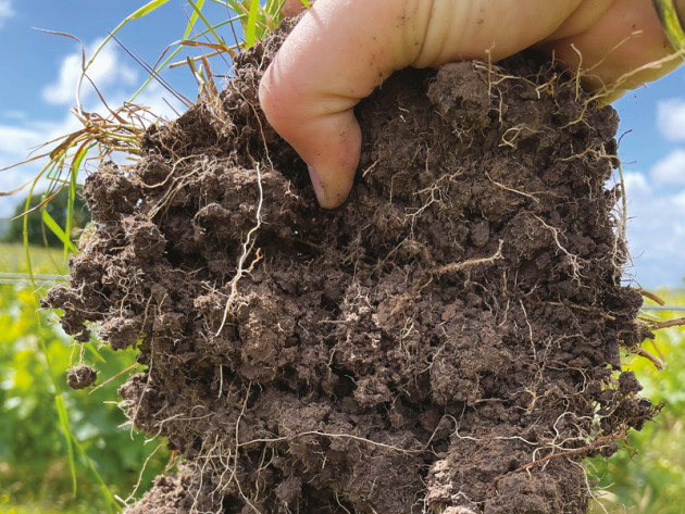 The nitty gritty of soil data - Harpers Wine & Spirit Trade News