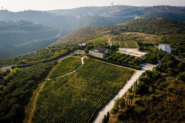 Exclusive: Michael Karam’s 2023 Lebanon report - Harpers Wine & Spirit ...