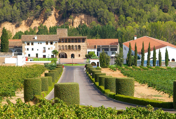 Segura Viudas launches first-to-market premium Cava in Tesco - Harpers ...