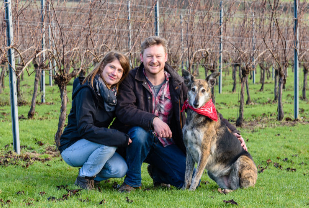 Indigo Wine adds Sugrue South Downs to portfolio - Harpers Wine ...