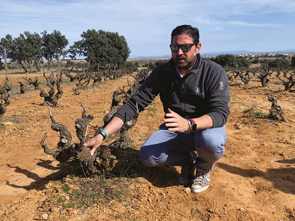 Producer Q&A: Jaime Suárez, Dominio De Atauta - Harpers Wine & Spirit ...