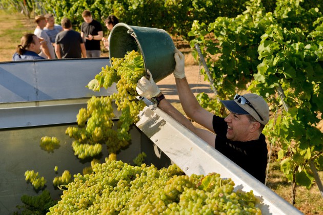 James Bayley - Journalist Profile - Intelligent Relations