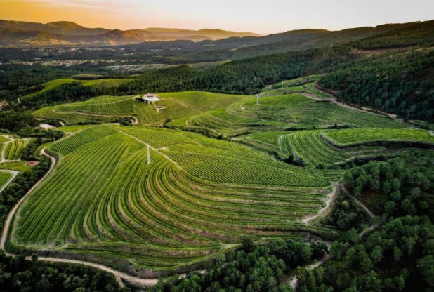 Flint Wines partners with Hatch Mansfield to distribute Iconic Wines ...