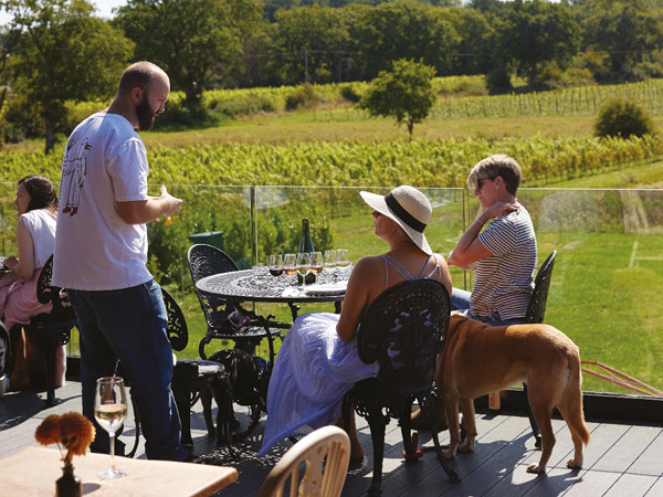 Kinsbrook Vineyard - Harpers Wine & Spirit Trade News