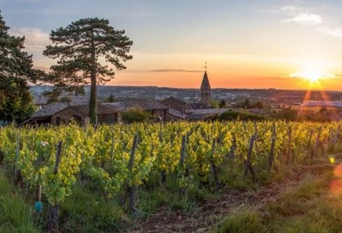 Two Burgundy appellations follow in Pouilly-Fuissé’s Premier Cru ...