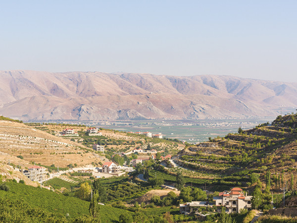 Soapbox: Michael Karam on wine’s political power - Harpers Wine ...