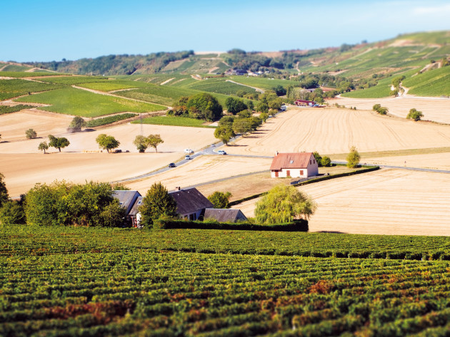 Classic and lesser-known wines drive the Loire’s appeal - Harpers Wine ...