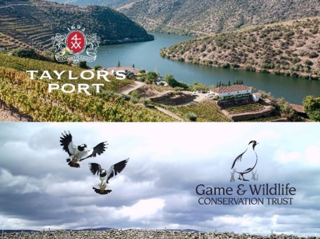Taylor's renews partnership with Game & Wildlife Conservation Trust - Harpers Wine & Spirit ...