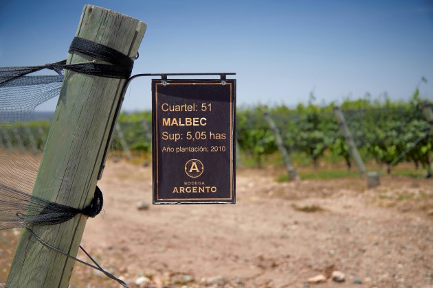 Alto Agrelo awarded Geographical Indication status - Harpers Wine ...