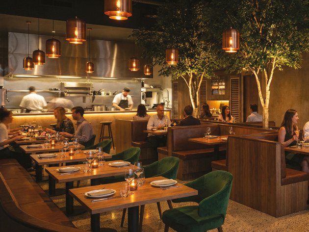The Counter - Harpers Wine & Spirit Trade News